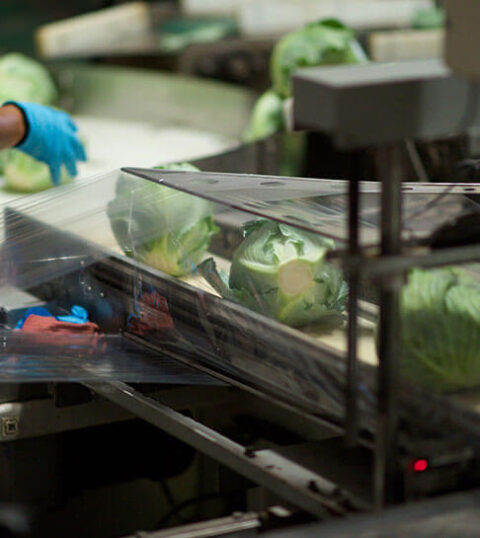 Produce Packaging Materials and Equipment — Atlantic Packaging