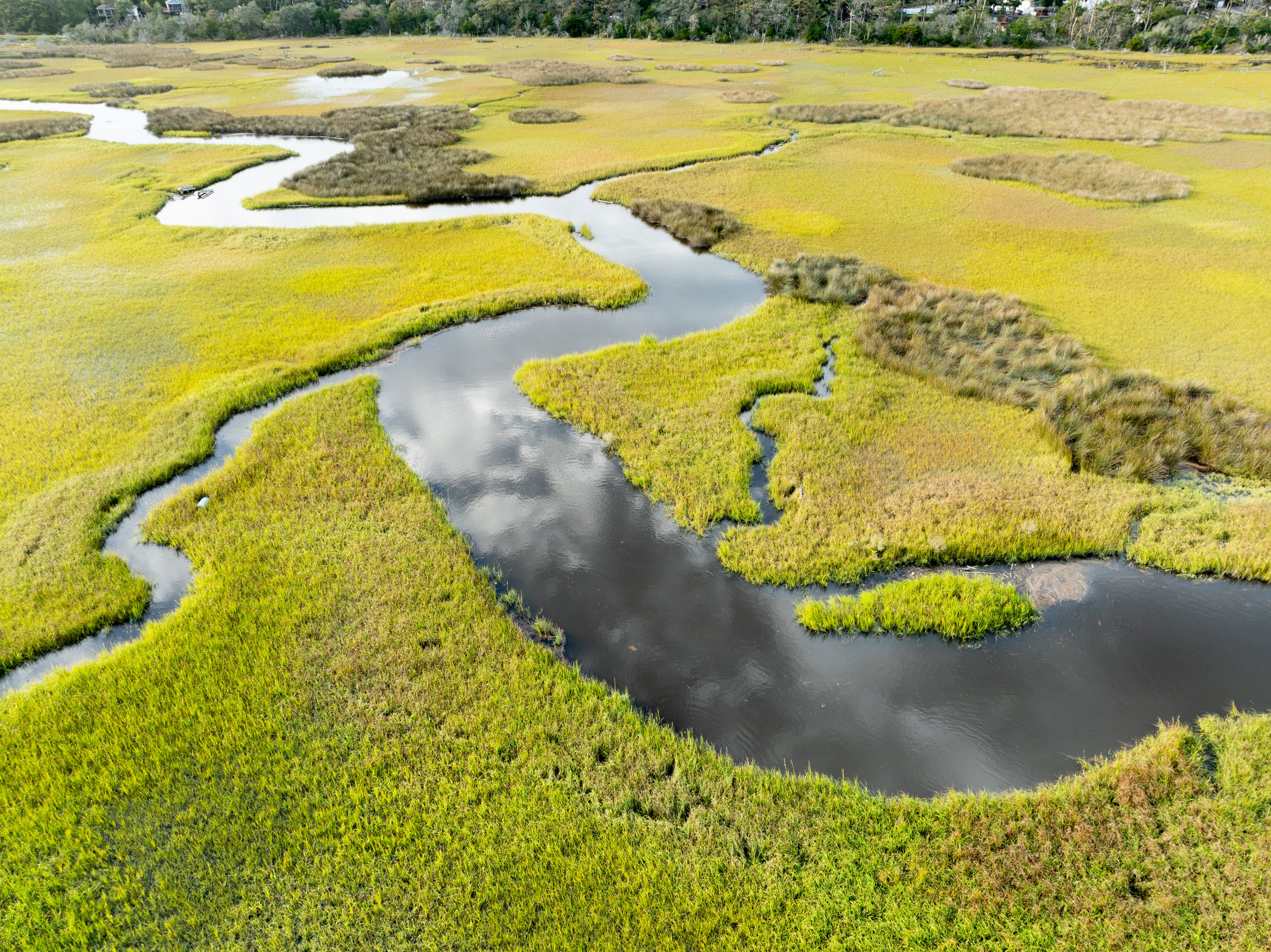 A New Earth Project - Atlantic Packaging